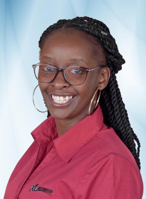 Our team | XL Millennium